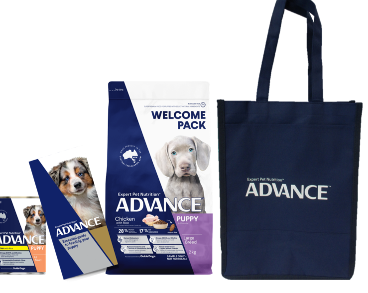 ADVANCE™ Large Breed Puppy Breeder Kit – ADVANCE™ Pet